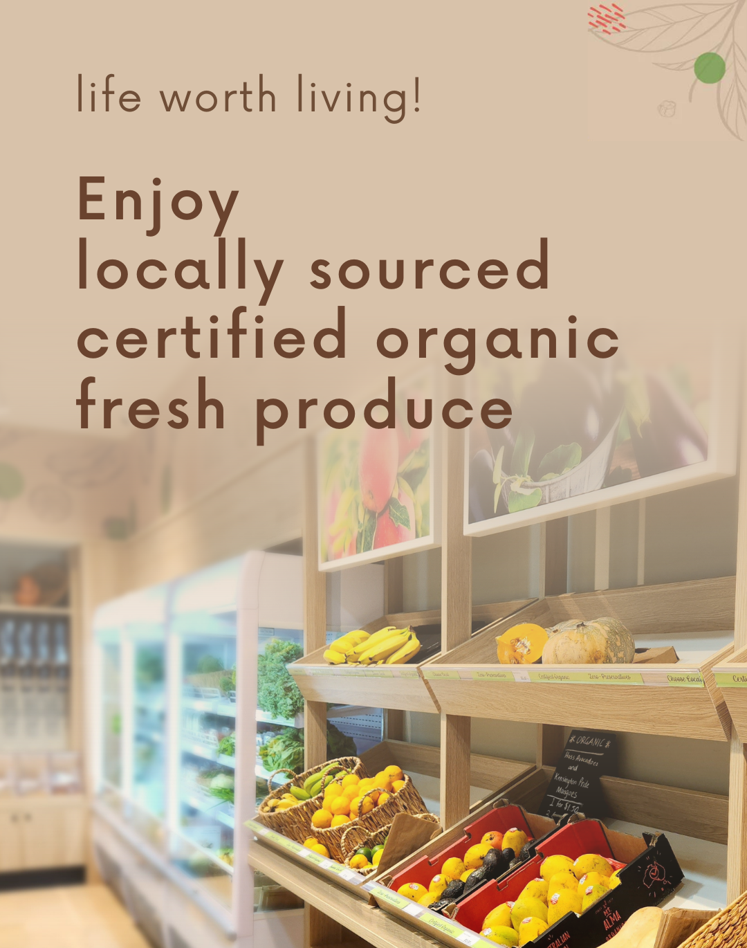 Organic Store In Baulkham Hills | Live Life Organic – livelife store ...